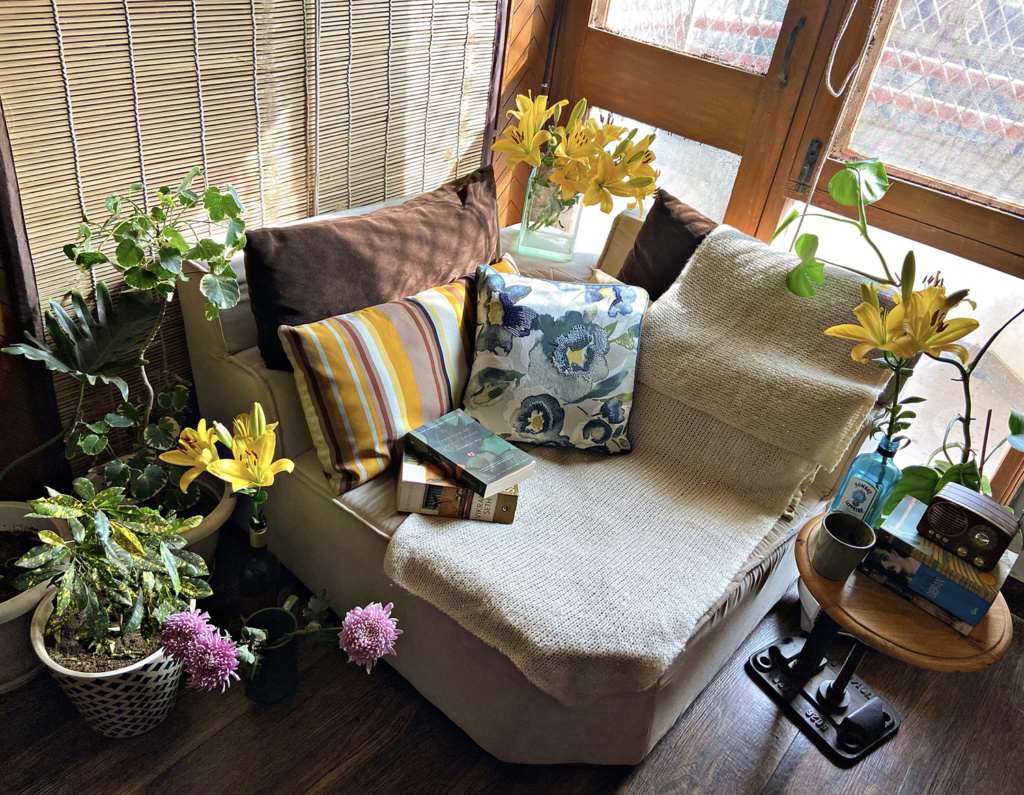 This rented Noida home looks like a tropical paradise - Tweak India